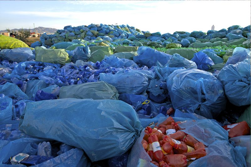 Depollution - Agence pour l'aménagement du site de la lagune de Marchica