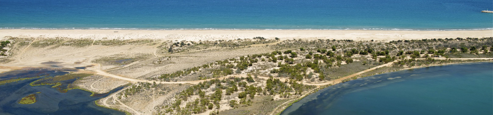 Laguna de Marchica - Agence pour l'aménagement du site de la lagune de ...